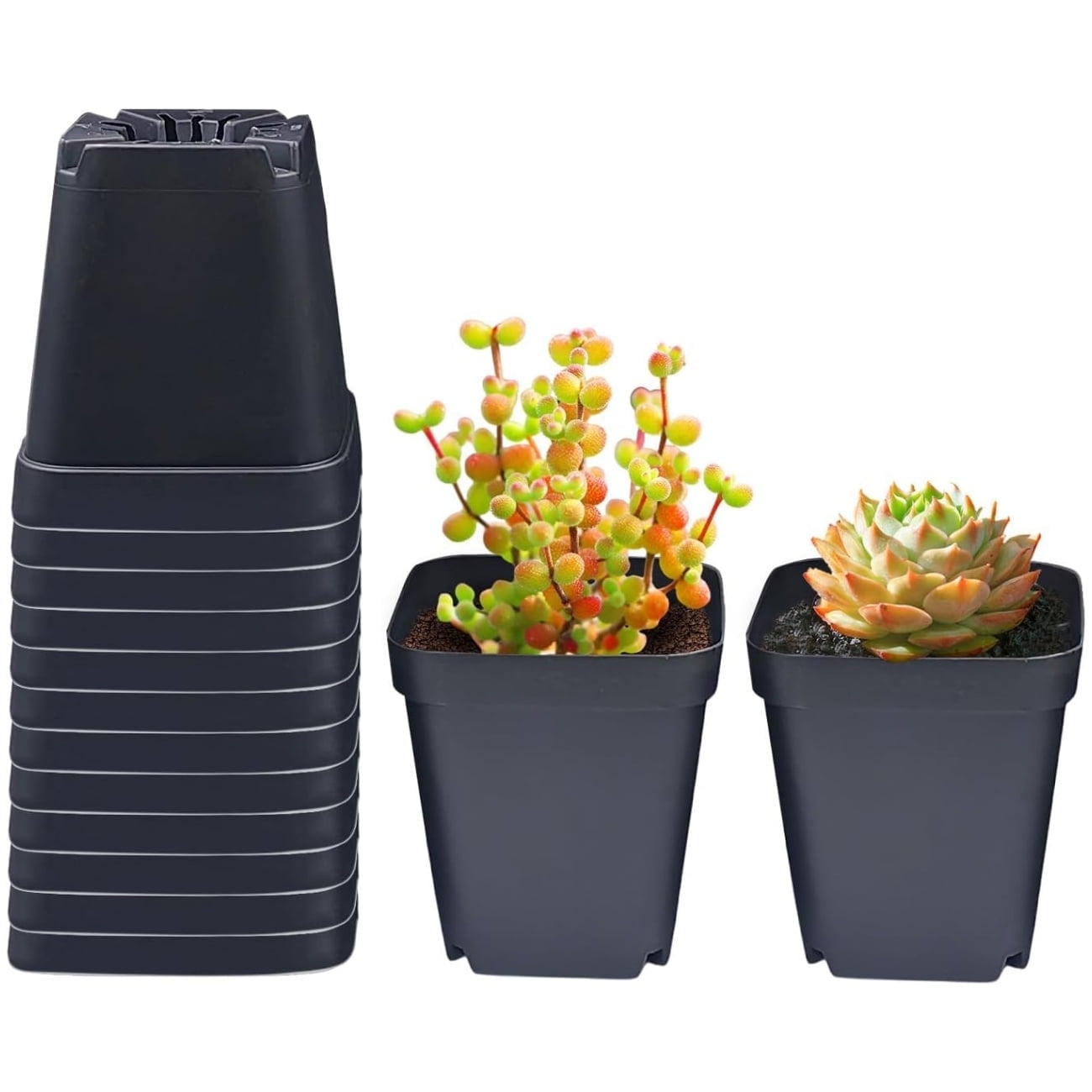 50 Pcs Square Nursery Pots Black Starter Container Nursery Plant Pot ...