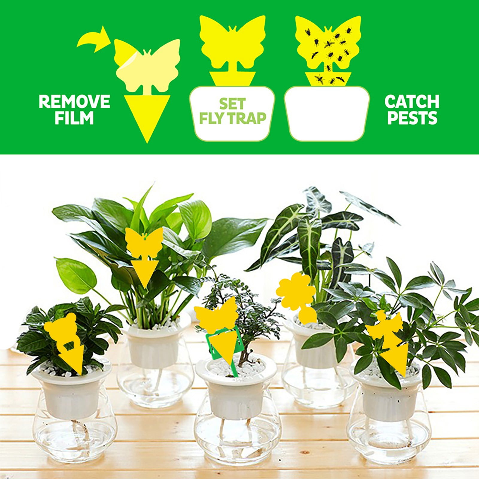 50 Pcs Yellow Extremely Sticky Traps for Fungus Gnat, Fruit Fly, Fly ...