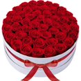 50 Piece Roses in a Velvet Box, Flowers for Delivery, Presereved ...