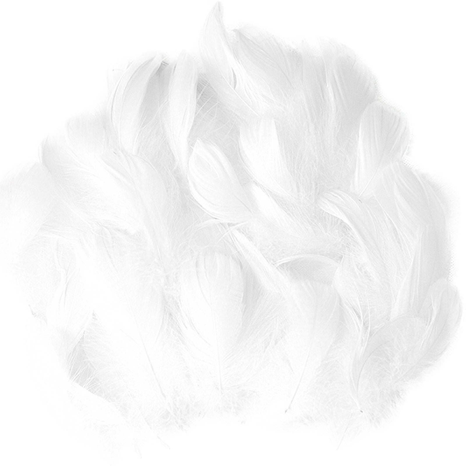 50 Pieces Set Natural Colourful DIY Feather Craft Toy Natural Animal ...