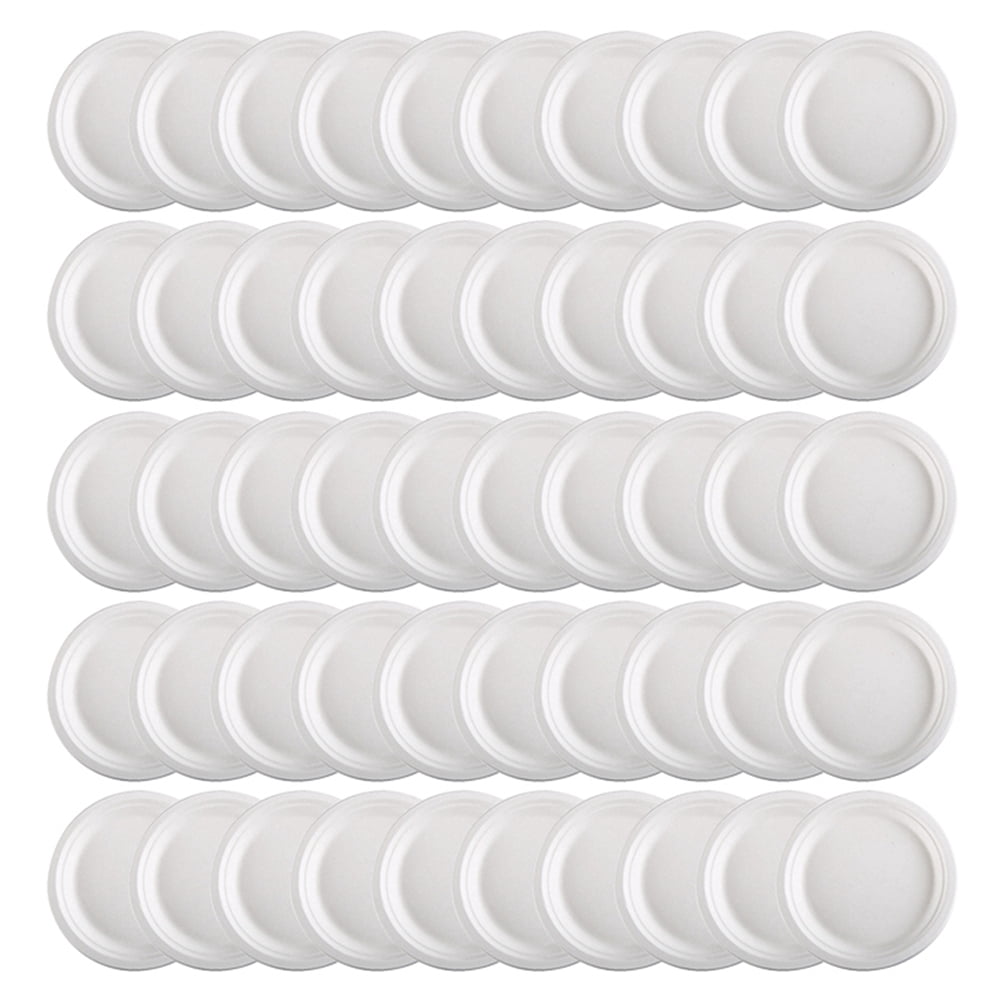 50 Pieces of Biodegradable Disposable Discs,Disposable Round Paper ...