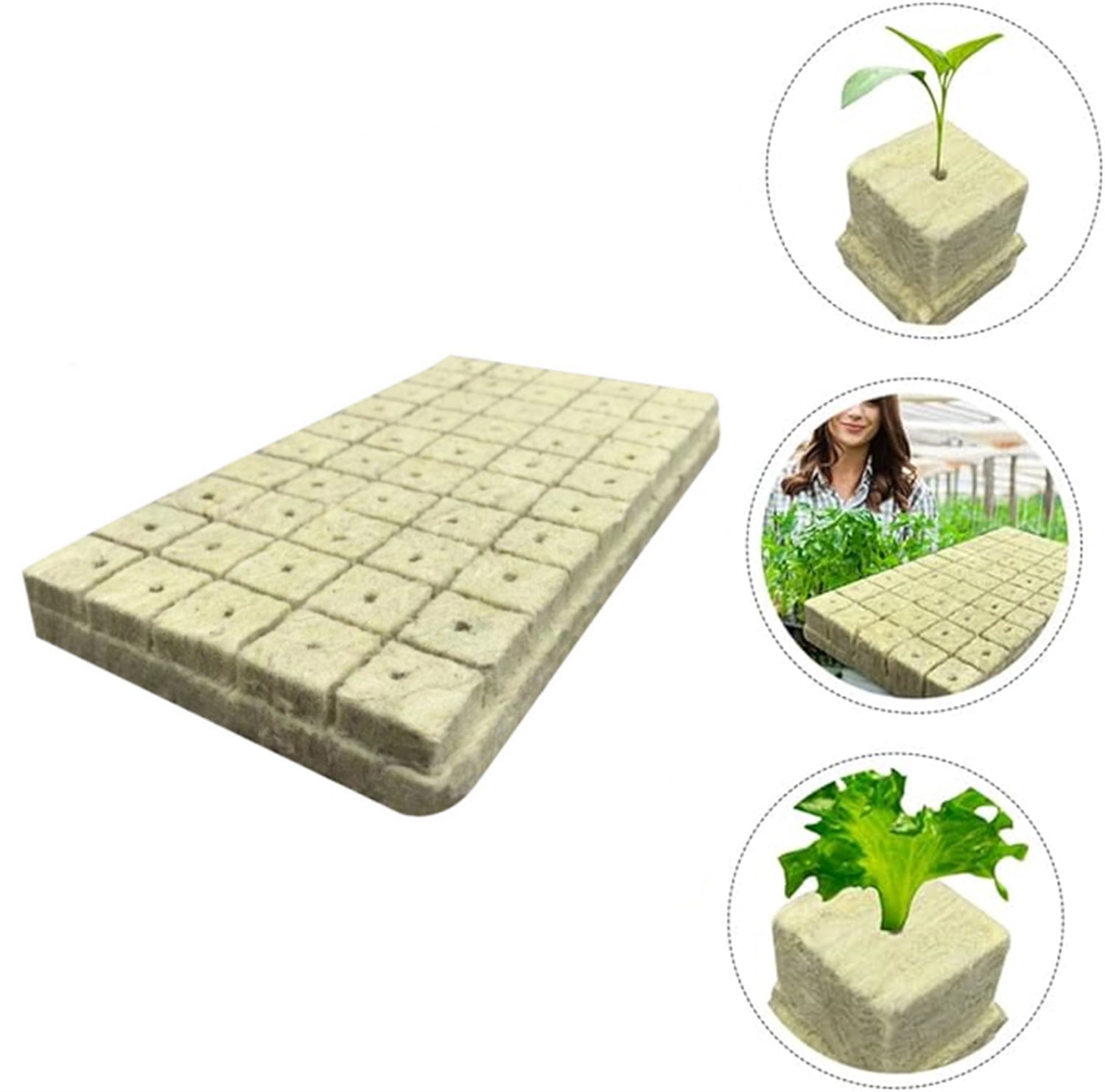 50 Plugs Stonewool Starter Grow Cubes,1 Inch Plant Growth Stonewool ...