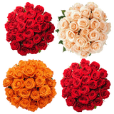 50 Red Roses and 50 Color Roses- 100 Half Red / Half Color Roses. Fresh ...