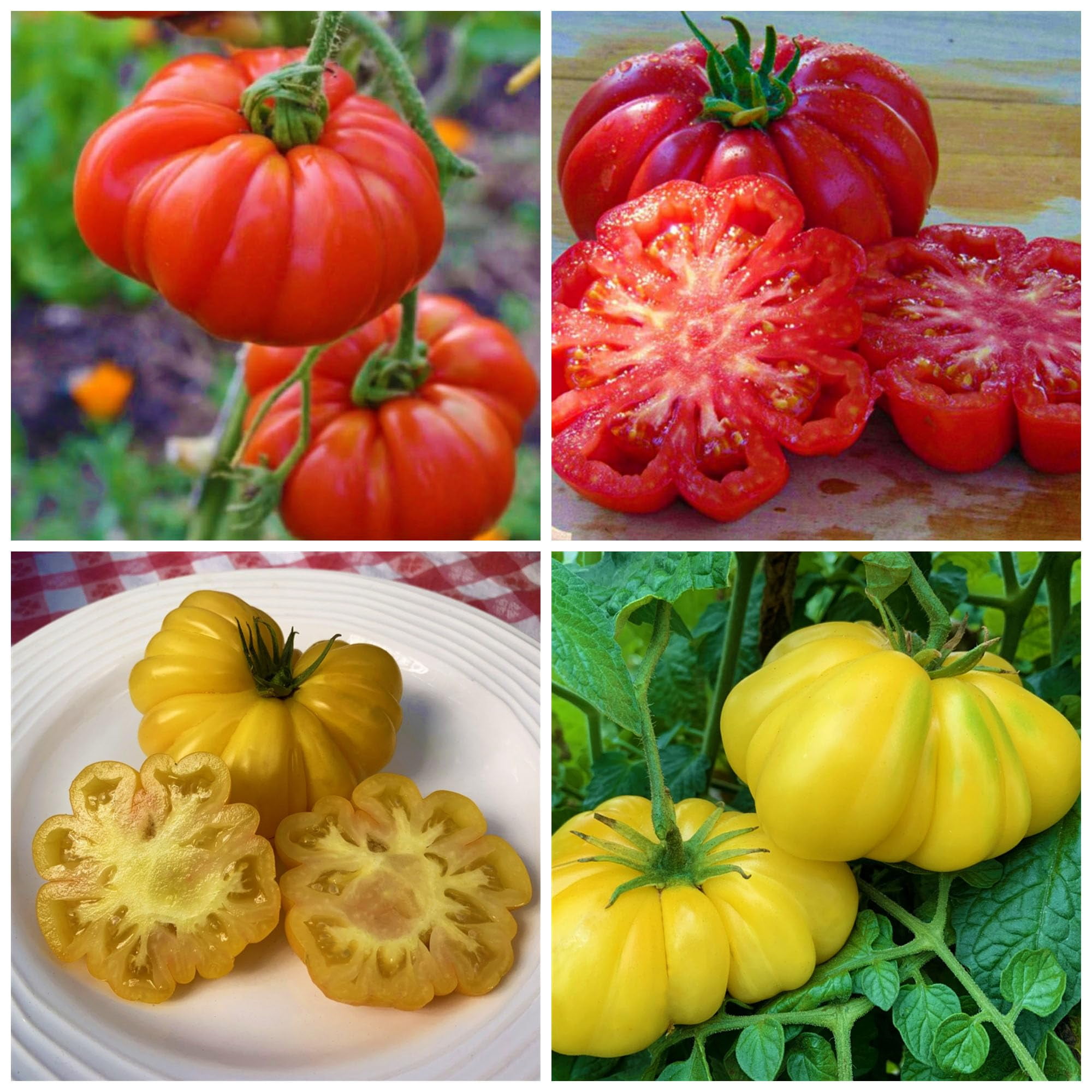 50+ Ruffled Tomato TWE5 Seeds Non GMO Vegetable Fruit Seeds Exotic ...