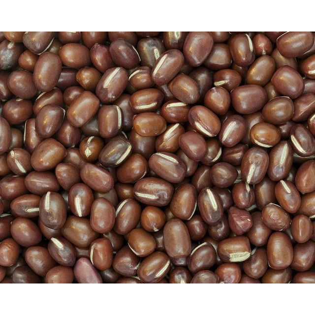 50 Seeds ADZUKI BEAN Aduki Red Bean Maroon Phaseolus Angularis Legume ...