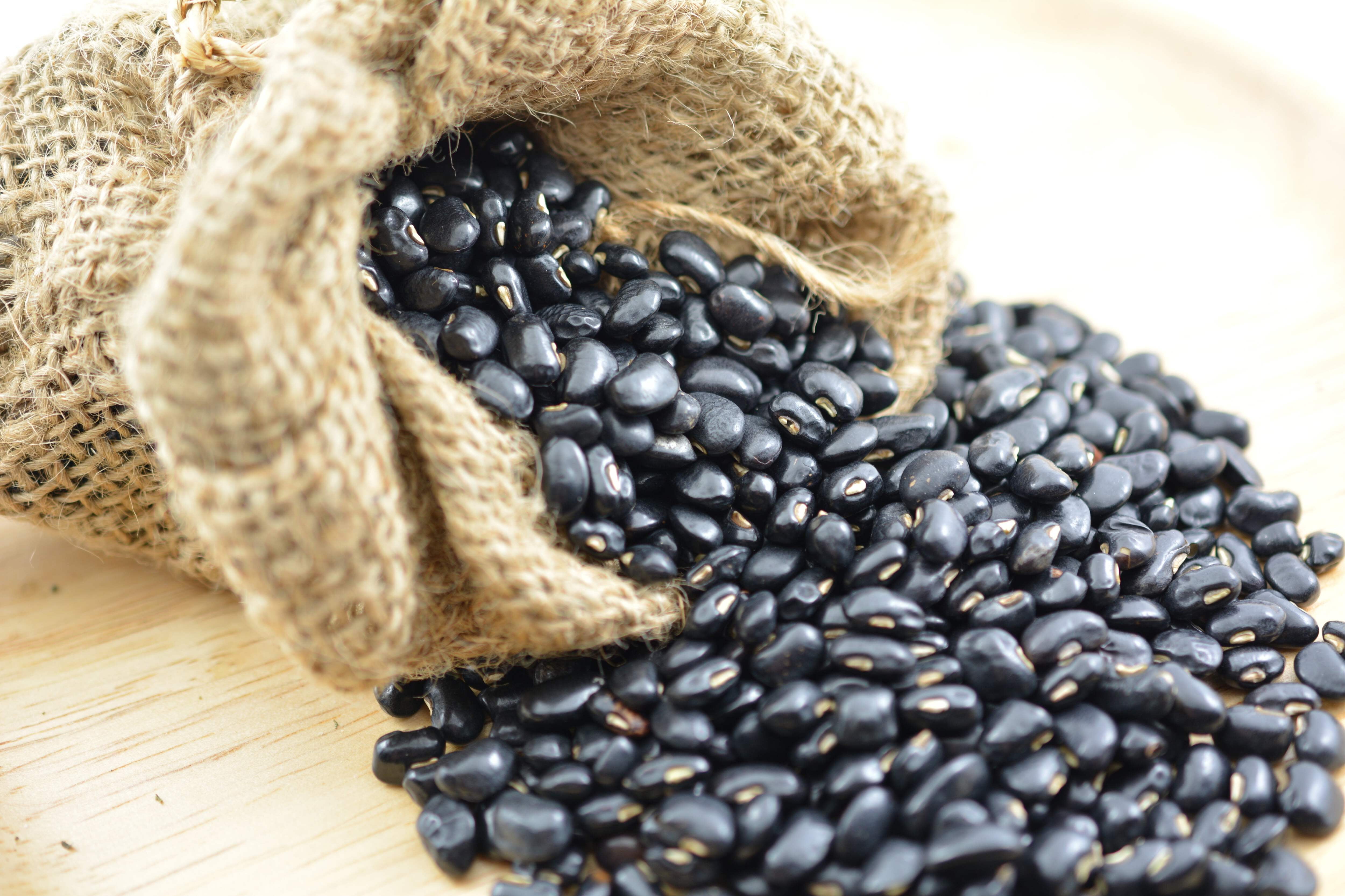 50 Seeds BLACK BEAN (Black Turtle Bush Bean) Phaseolus Vulgaris ...