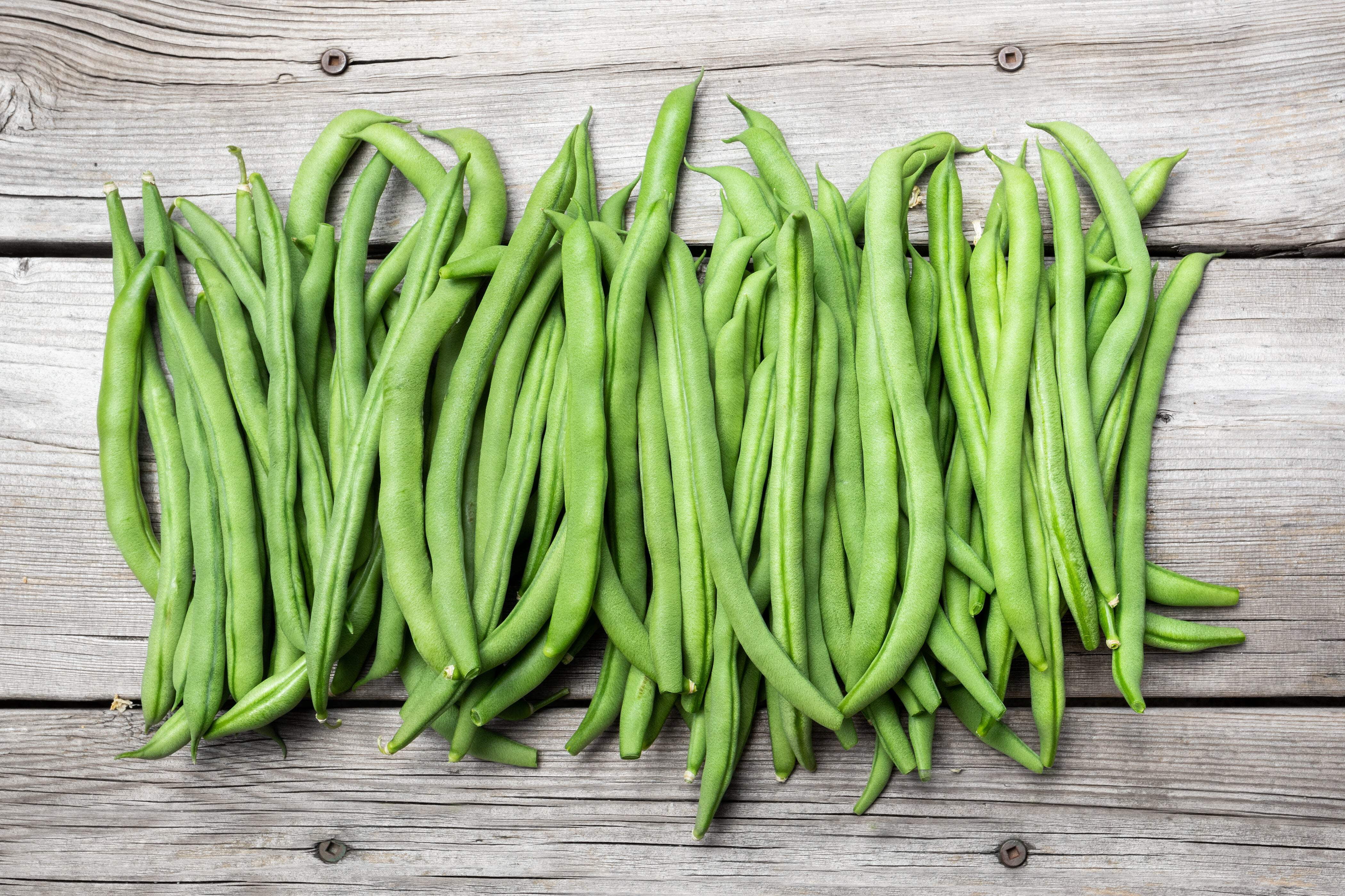 50 Seeds BURPEE STRINGLESS Green Pod BEAN French Phaseolus Vulgaris ...
