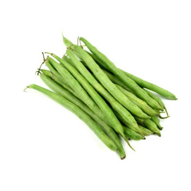 50 Seeds BURPEE STRINGLESS Green Pod BEAN French Phaseolus Vulgaris ...