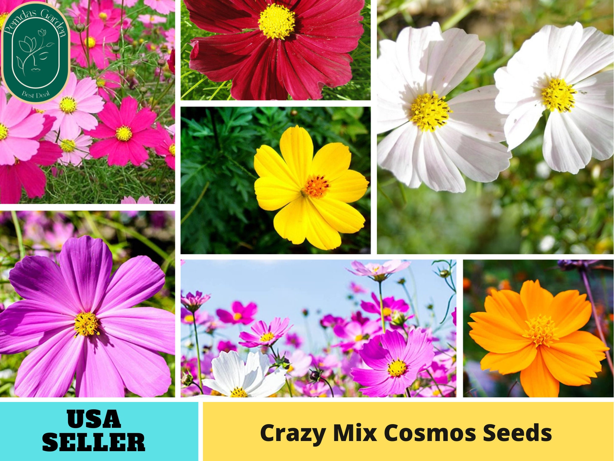 50+ Seeds| Crazy Mix Cosmos Seeds ~ Authentic Seeds ~ GMO Free ~ Seeds ...