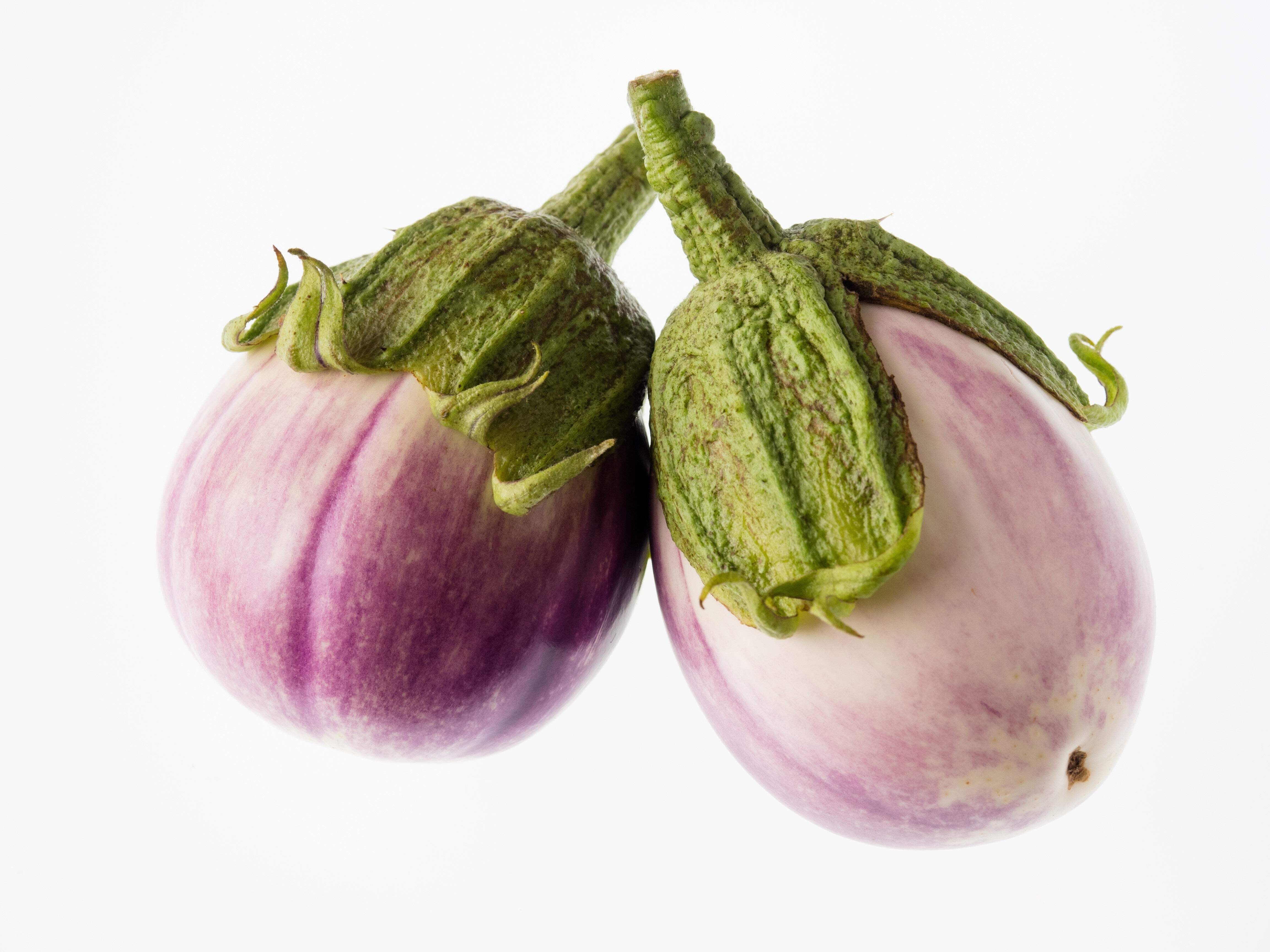 50 Organic Italian Eggplant Rosa Bianca Seeds, Solanum Melongena ...