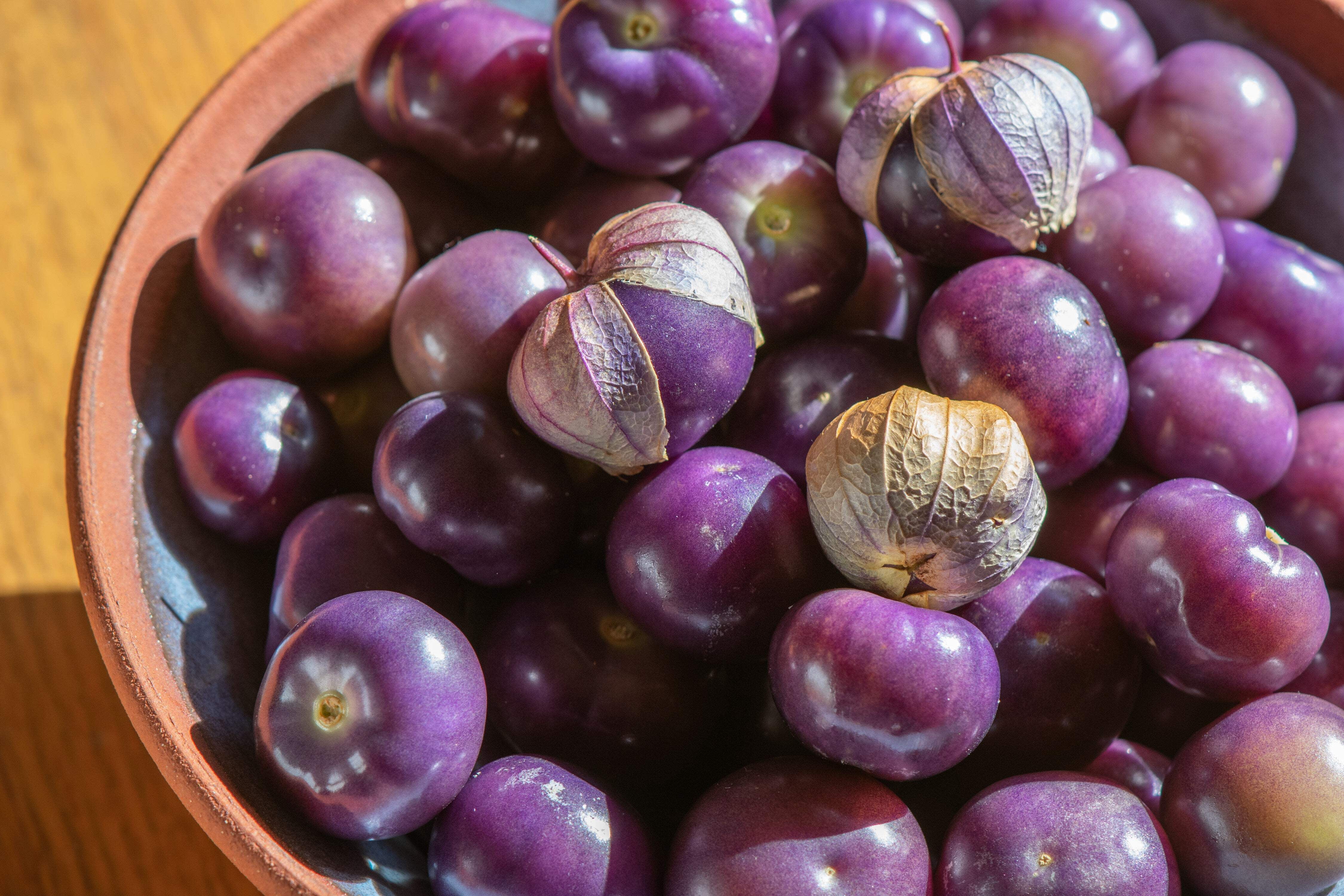 50 Seeds PURPLE TOMATILLO Husk Tomato Physalis Ixoxcarpa Fruit ...