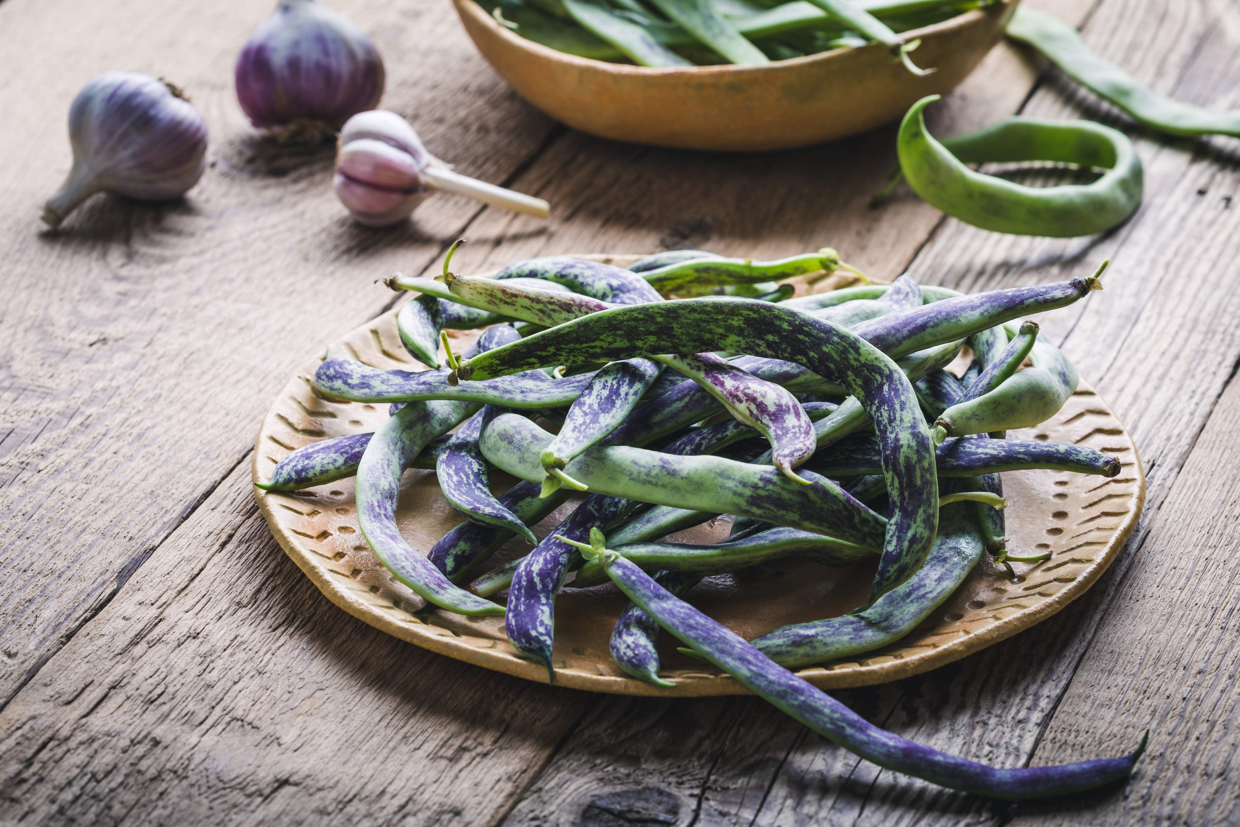 50 Seeds RATTLESNAKE POLE BEAN Stringless Purple Phaseolus Vulgaris ...