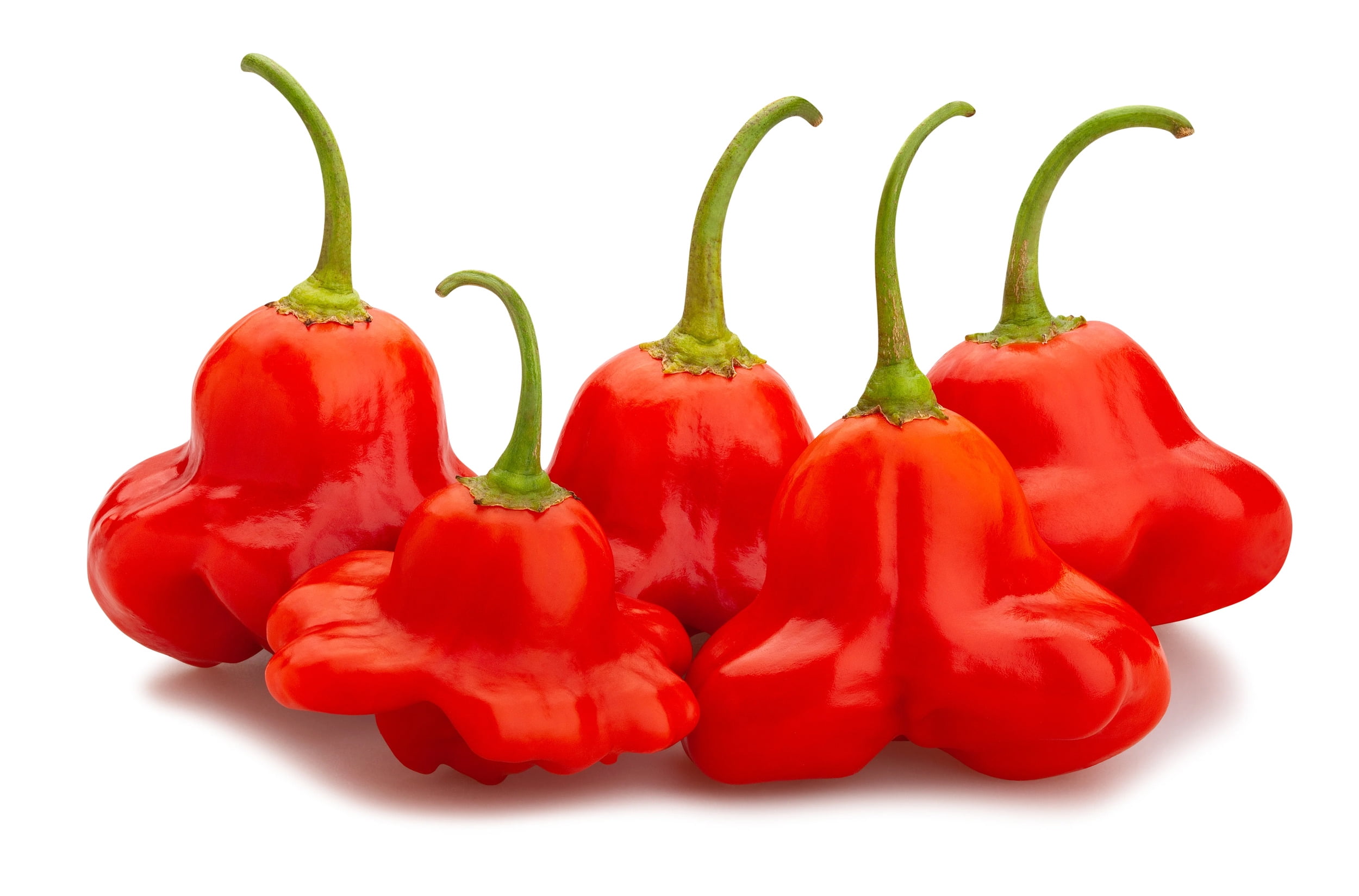 50 * Seeds Ubatuba CAMBUCI PEPPER Red Brazilian Capsicum Baccatum ...