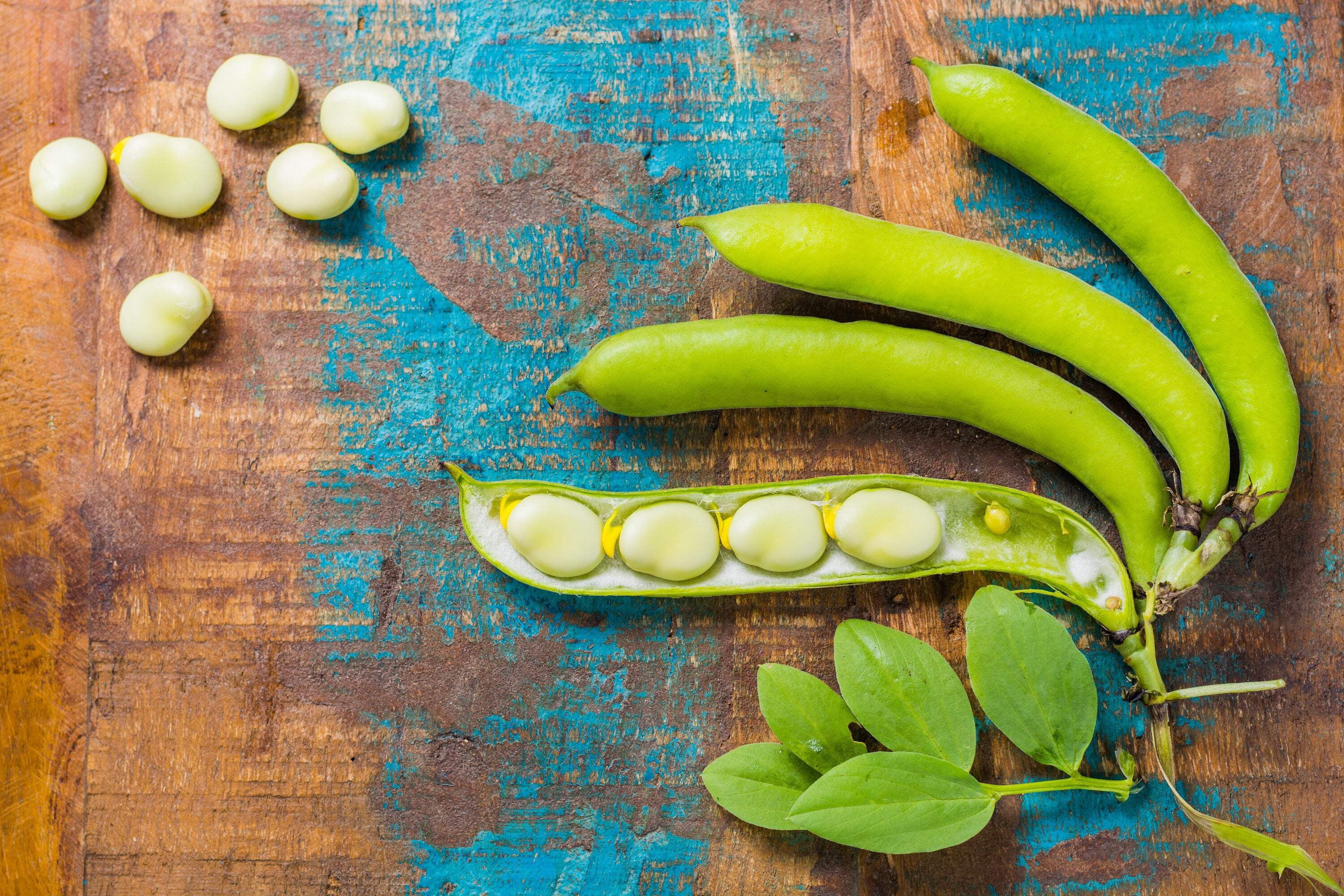 50 Seeds White DIXIE LIMA BEAN Butterpea Phaseolus Vulgaris Vegetable ...