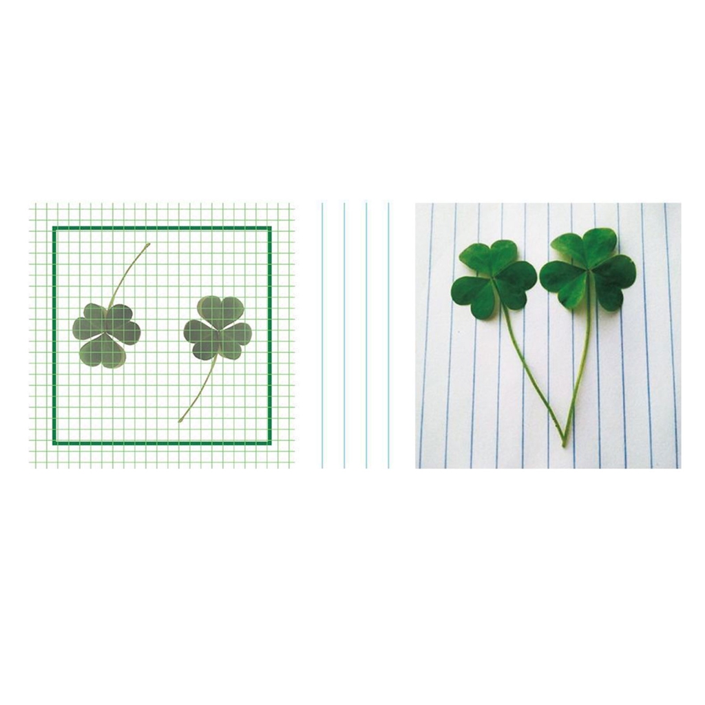 50 Sheets Aesthetic Note Paper Novelty Notepads for Memos Notes ...