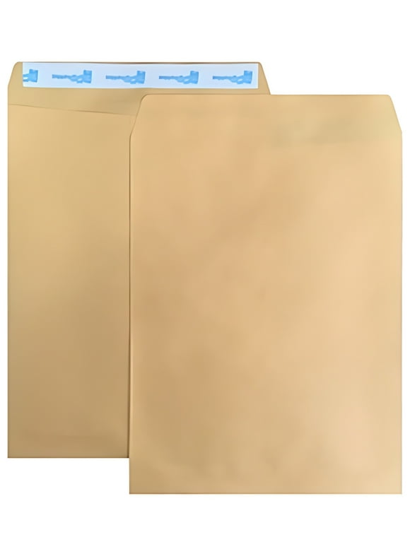 10 X 13 Envelopes in Envelopes by Size - Walmart.com
