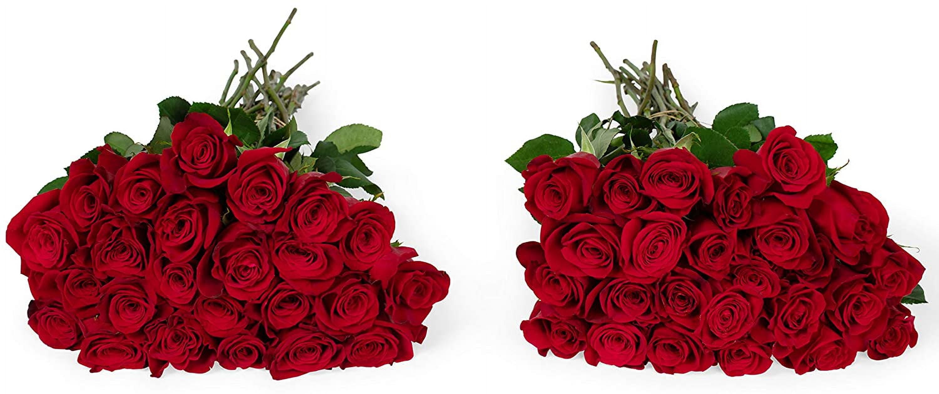 50 Stems Of Red Roses (Vase Not Included), Next-Day Delivery, Fresh ...