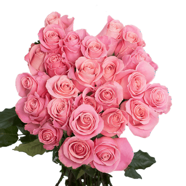 50 Stems of Roses: 25 Yellow and 25 Red- Beautiful Fresh Cut Flowers ...