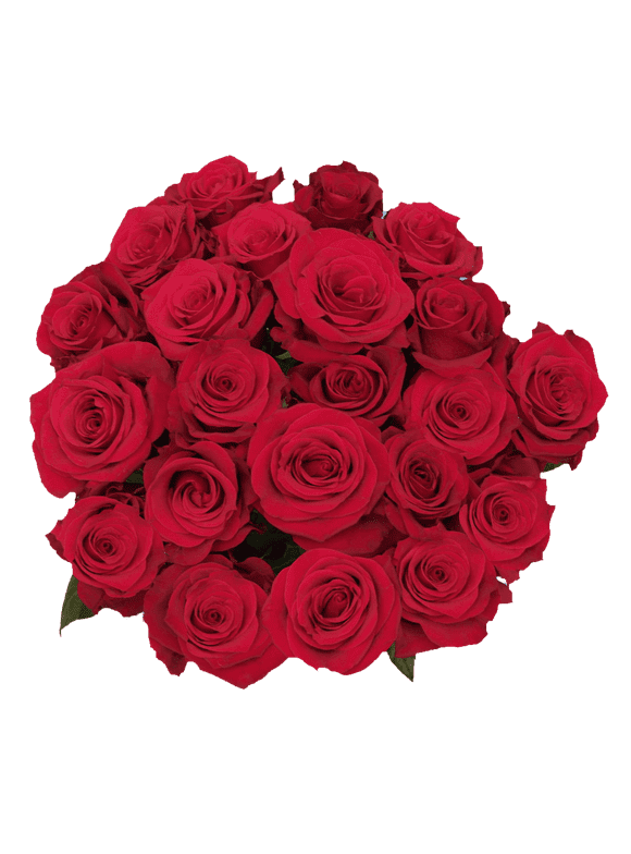 Roses in All Flowers - Walmart.com
