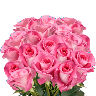 Globalrose Fresh Real Live 50 Red Roses Bundle - Walmart.com