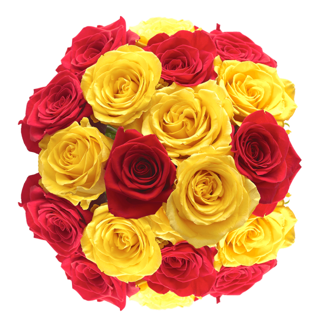 50 Stems of Roses: 25 Yellow and 25 Red- Beautiful Fresh Cut Flowers ...