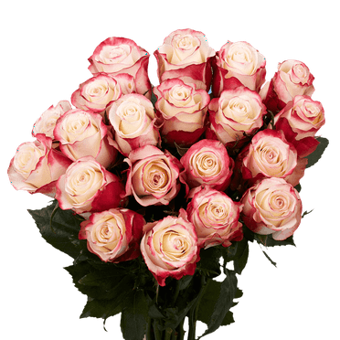 Globalrose Fresh Real Live 50 Red Roses Bundle - Walmart.com