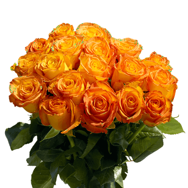 50 Stems of Roses: 25 Yellow and 25 Red- Beautiful Fresh Cut Flowers ...