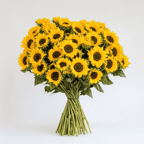Fresh Cut Sunflowers and Sunflower Products for Every Occasion