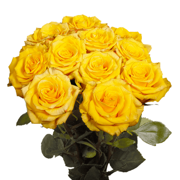 Globalrose Fresh Real Live 50 Red Roses Bundle - Walmart.com