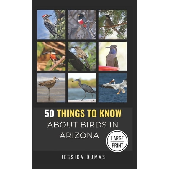 50 Things to Know about Birds - Large Pr 50 Things to Know About Birds ...