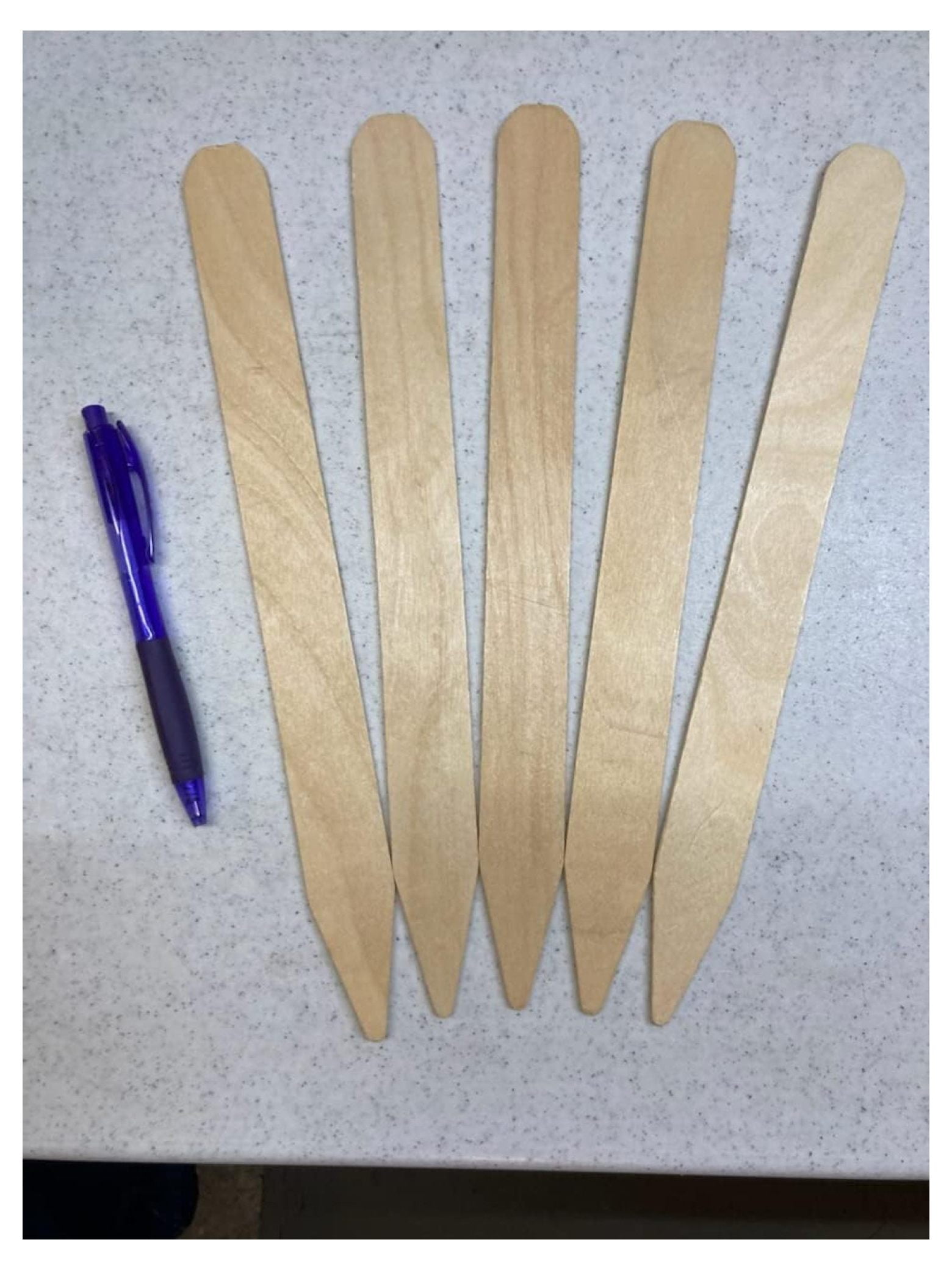 50 Wooden 12" L x 1-1/8" W, Plant Stake Labels for Field or containers ...