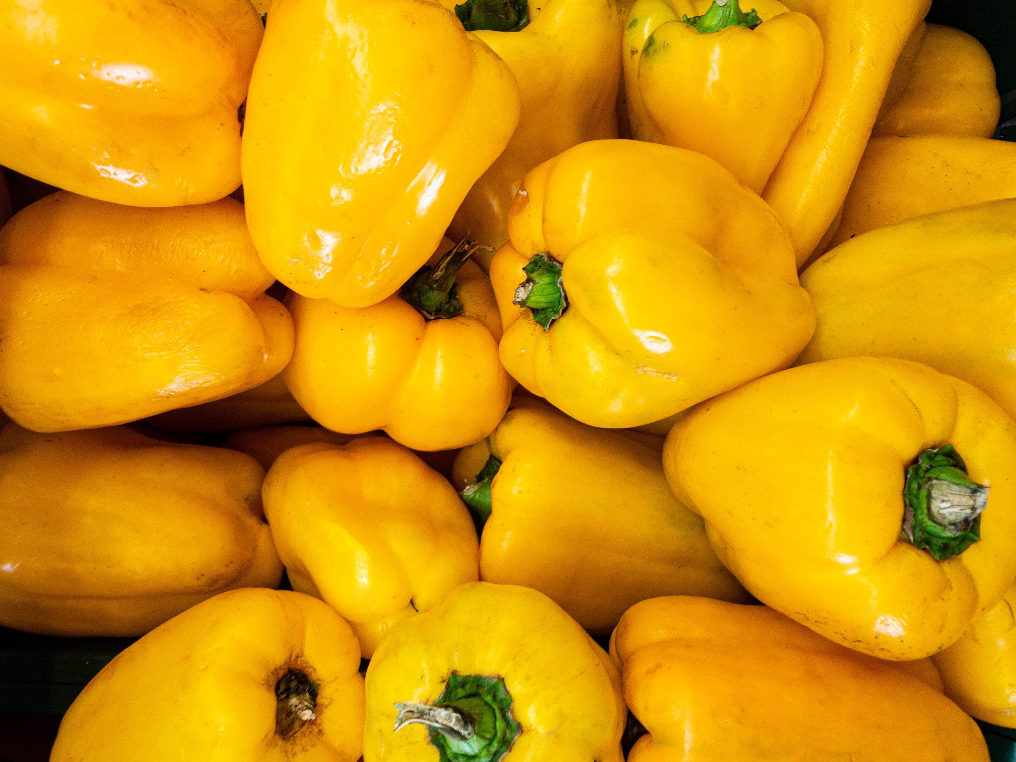 50 YELLOW Cheese PIMENTO PEPPER Capsicum Annuum Vegetable Seeds ...