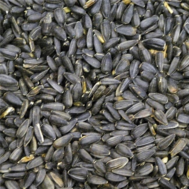 50 lbs Black Oil Sunflower Seed Food for Wild Bird Feed - Walmart.com