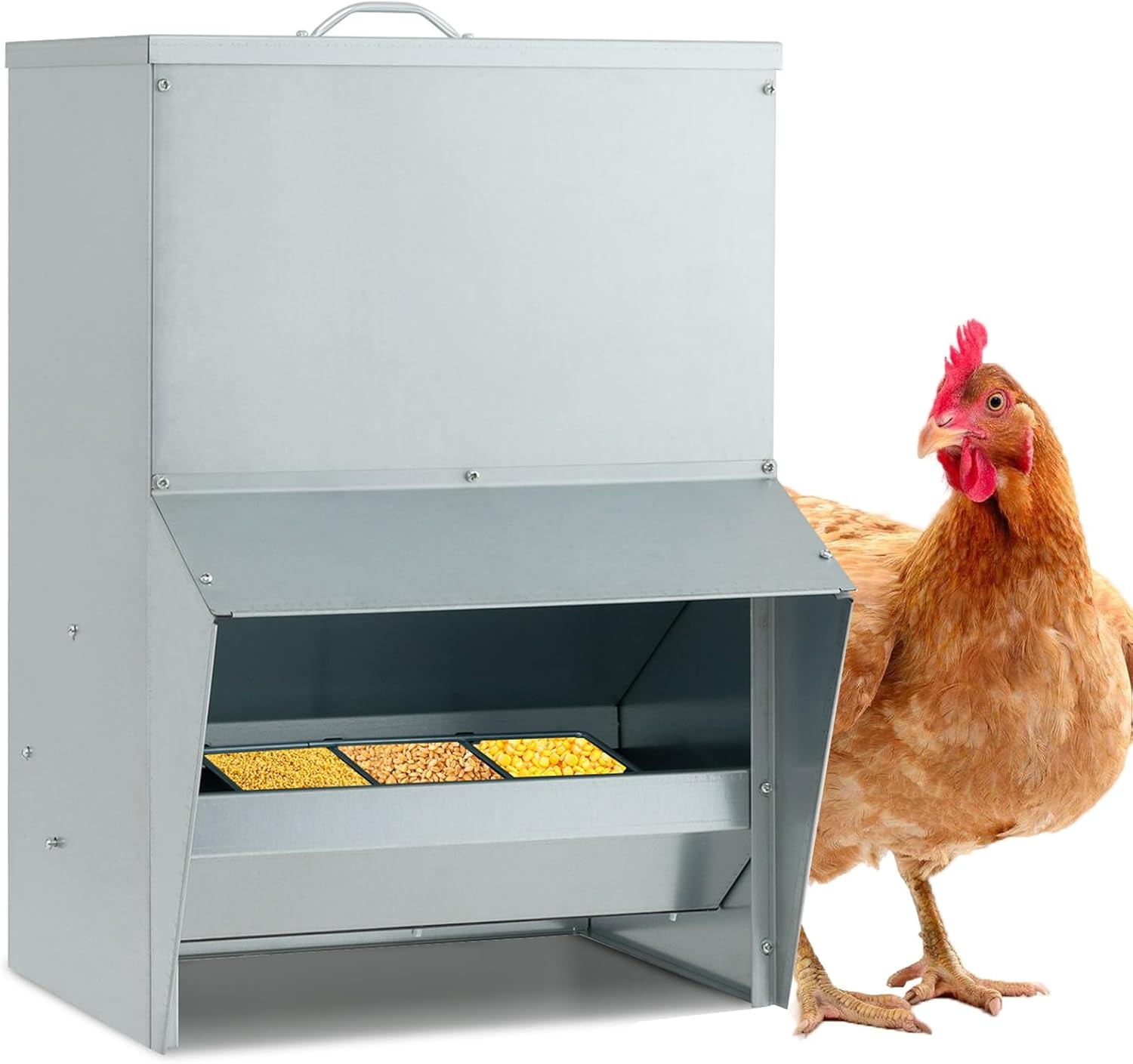 50 lbs Galvanized Chicken Feeder, Weatherproof Metal Poultry Feeder ...
