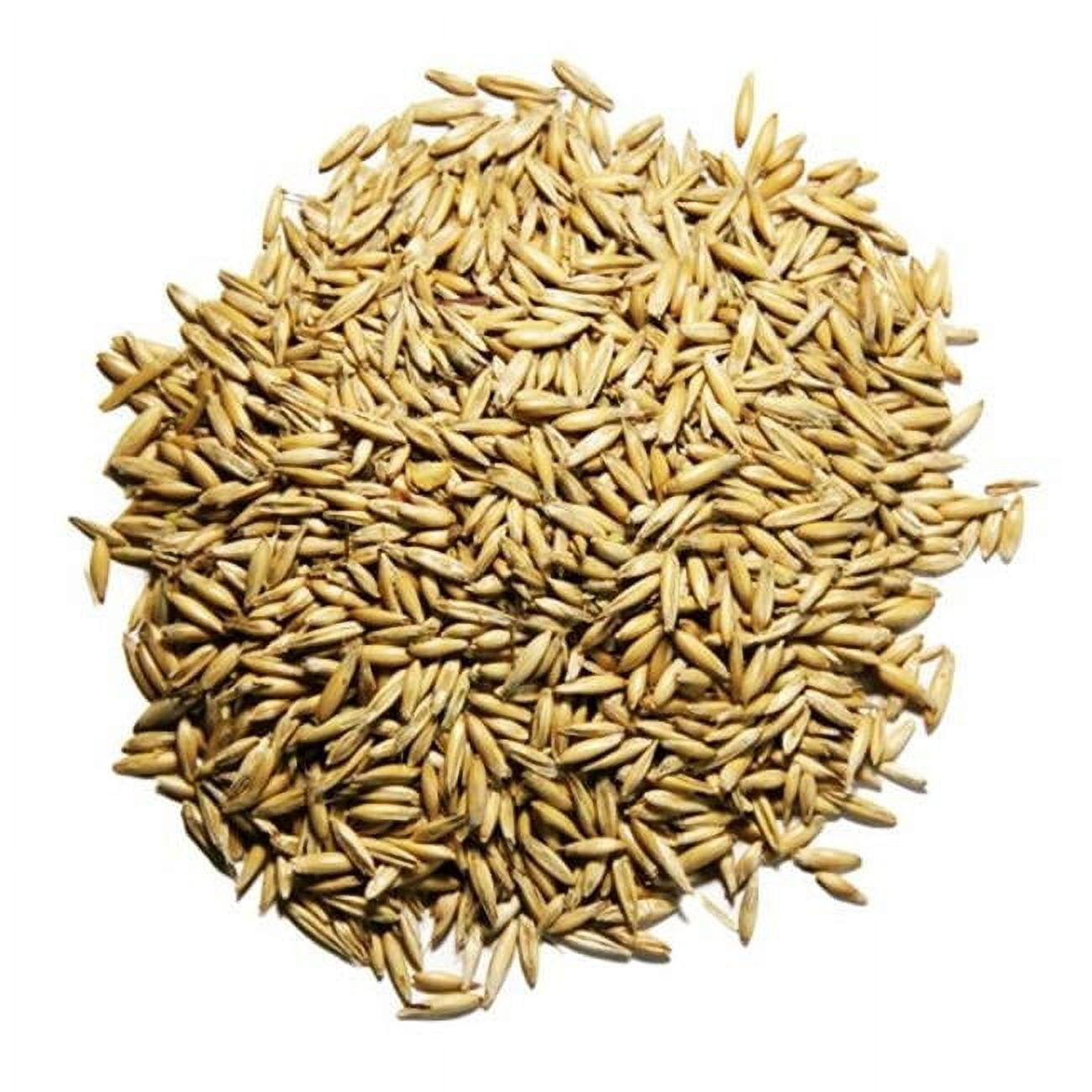 50 lbs Oats Animal Feeds Grains - Walmart.com