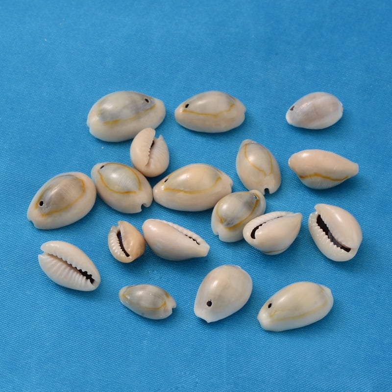 50 pc Natural Cowrie Shell Beads Dyed Seashell Color 10~17x10~11x7~9mm ...