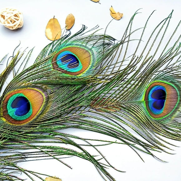 Craft Feathers in Basic Craft Supplies - Walmart.com