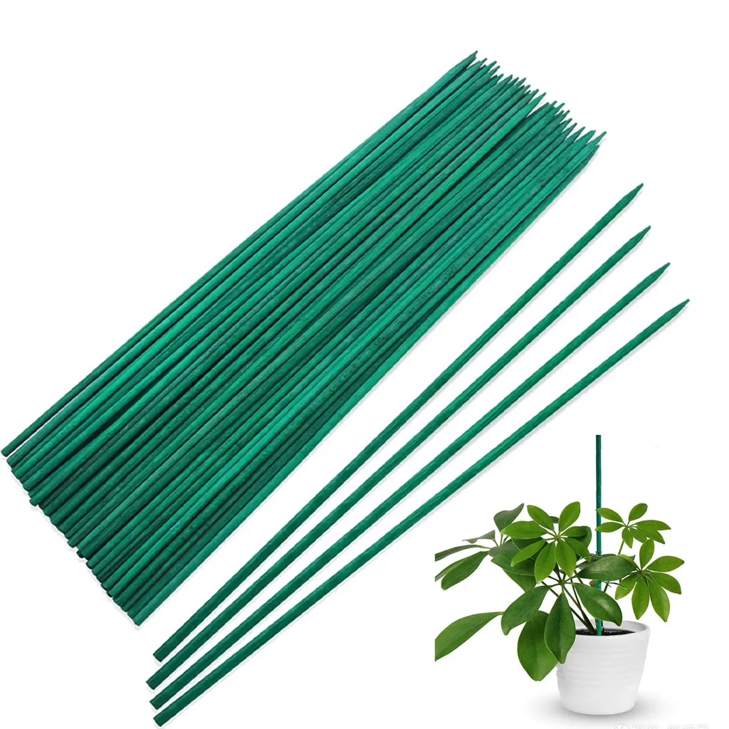 50 x plant sticks, HxD 40 x 0.4 cm, climbing aid for young plants, bamboo sticks, flower ...