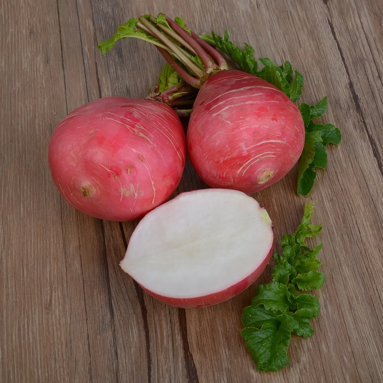 500 German Giant Radish Seeds - Non-GMO Heirloom - HUGE Radishes MILD ...