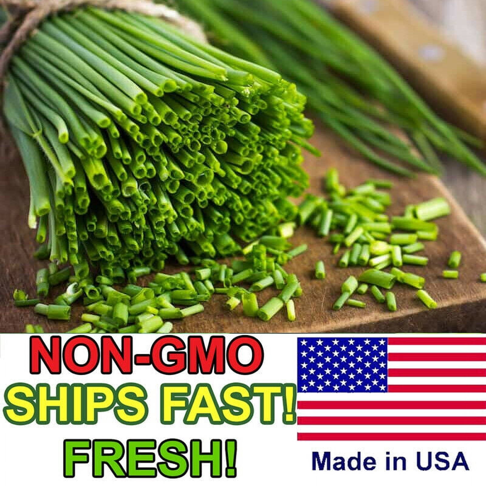 500+ Heirloom Onion Chives Seeds | Common Chives Non-GMO Fresh Herb ...