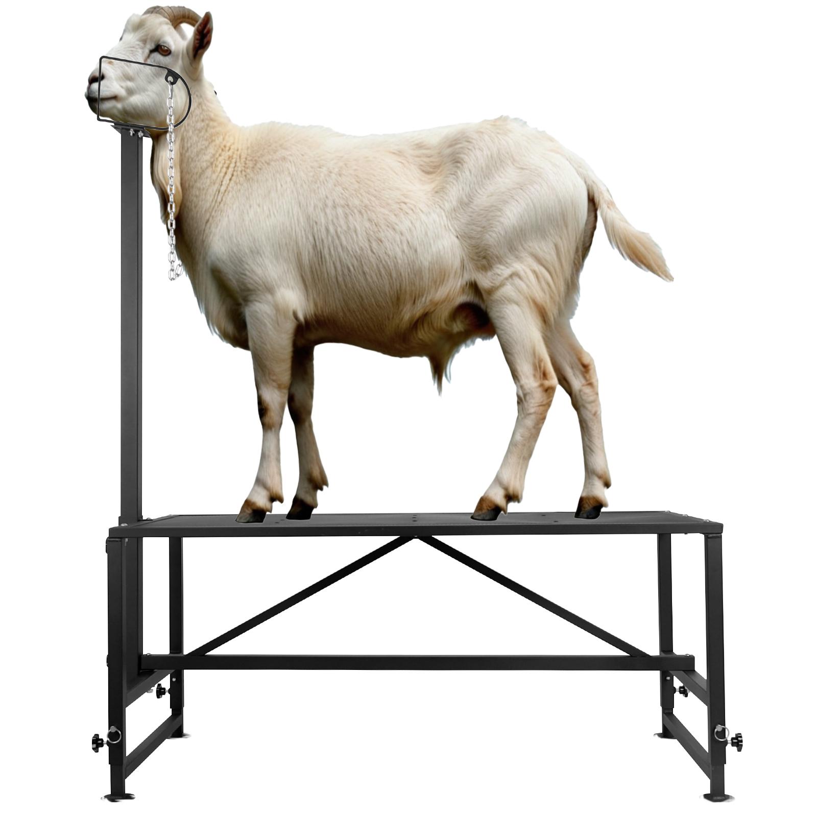 500 LBS Capacity Adjustable Headpiece Sheep Trimming Stand, 47x23 ...