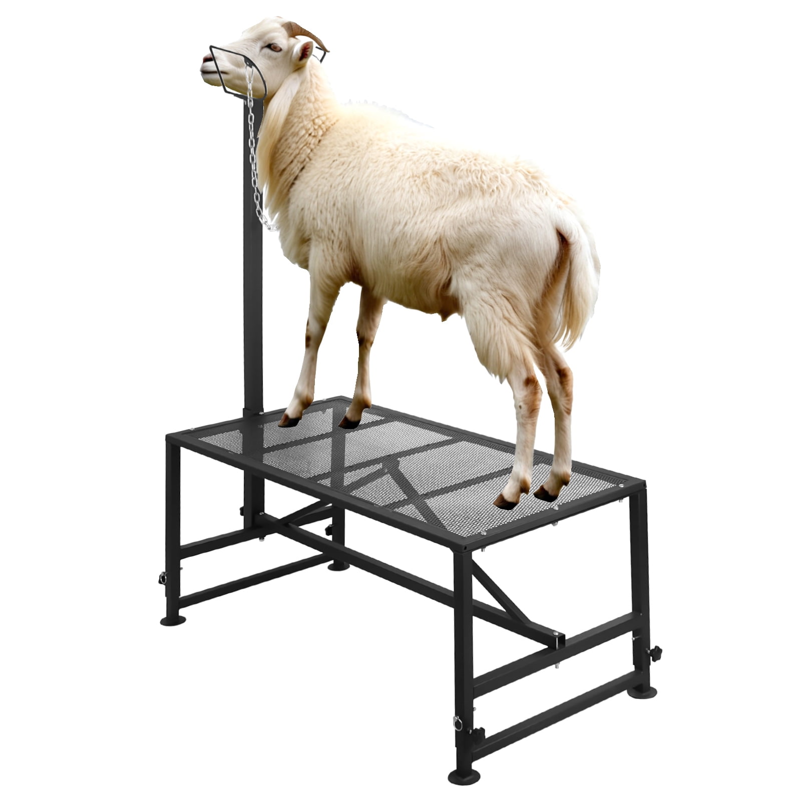 500 LBS Metal Livestock Milking Stand, 47"Lx23"W Goat Trimming Stand ...
