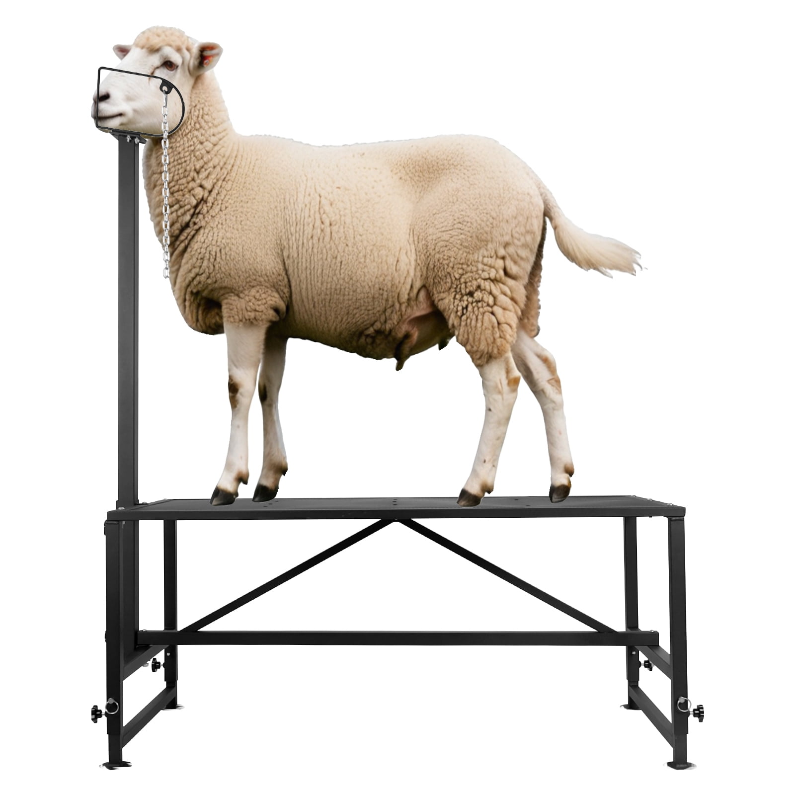 500 LBS Metal Sheep Trimming Stand, Adjustable Height 20-34" Livestock ...