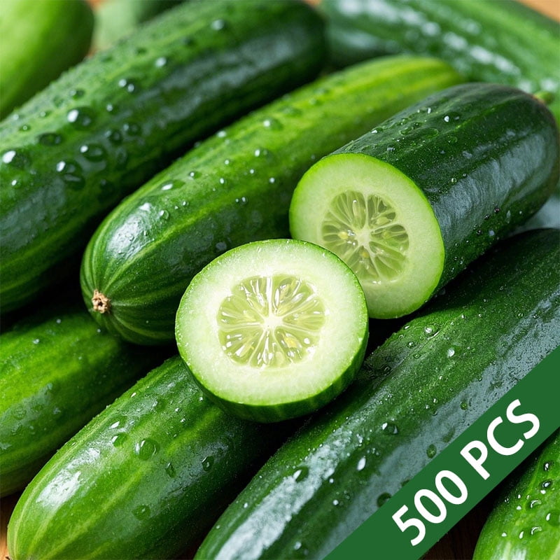 500 PCS Fruit Cucumber Seeds, Rich In Vitamins and Minerals, Fast ...
