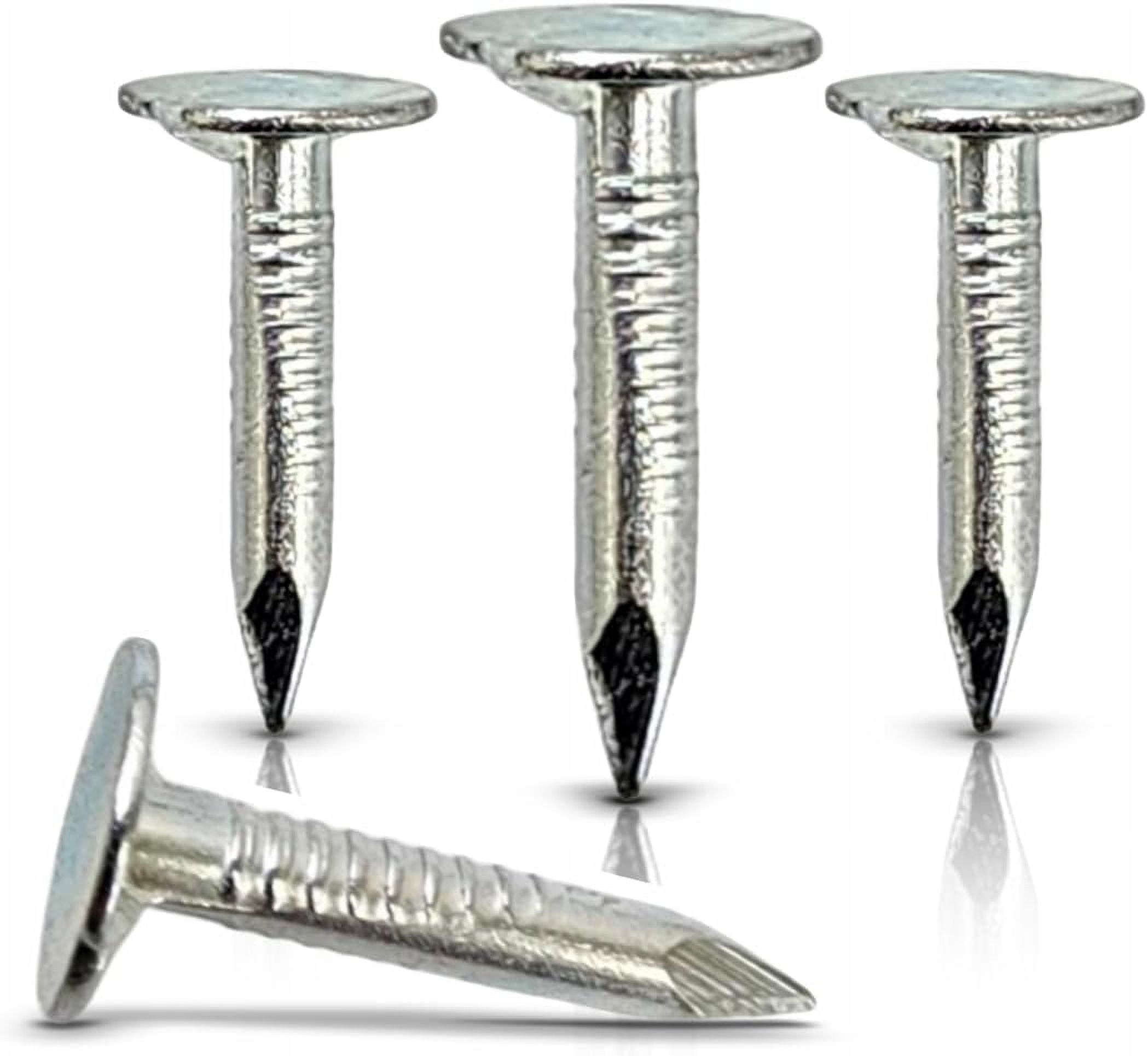 (500-Pack) 3/4-Inch Galvanized Roofing Nails Professional Grade - .75 ...