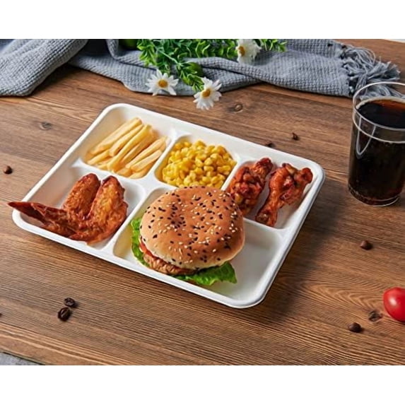 500 Pack 5 Compartment Plates, 100% Compostable Paper Plate, 10.25x8.5 ...