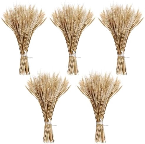 500 Pcs Dried Flower Dried Wheat Stalks Wheat Grass Decor Dried Flowers ...