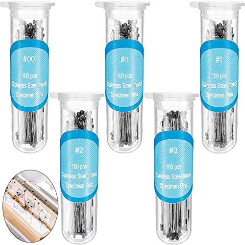 500 Pcs Stainless Steel Insect Pins Kit 5 Sizes Specimen Entomology ...