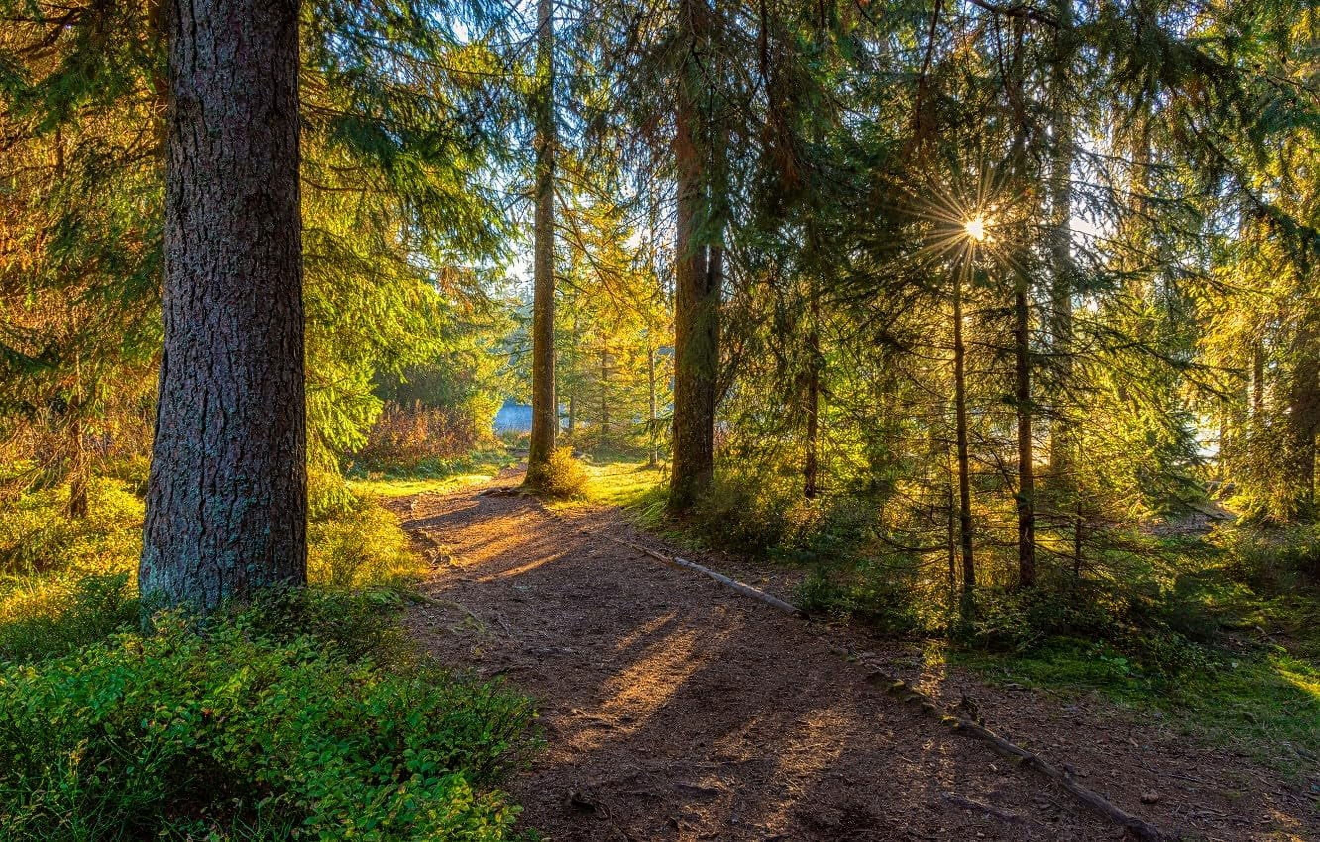 500 Piece Puzzles for Kids, Every Piece is Unique, Pieces Fit Together ...