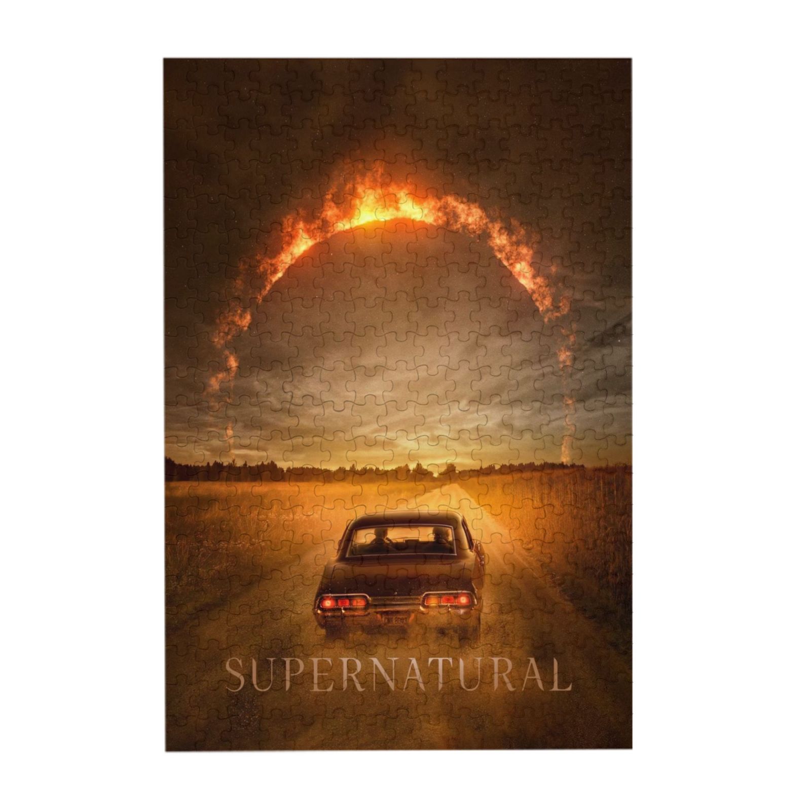 500 Piece Supernatural Jigsaw Puzzle for Adults Leisure Gift for ...